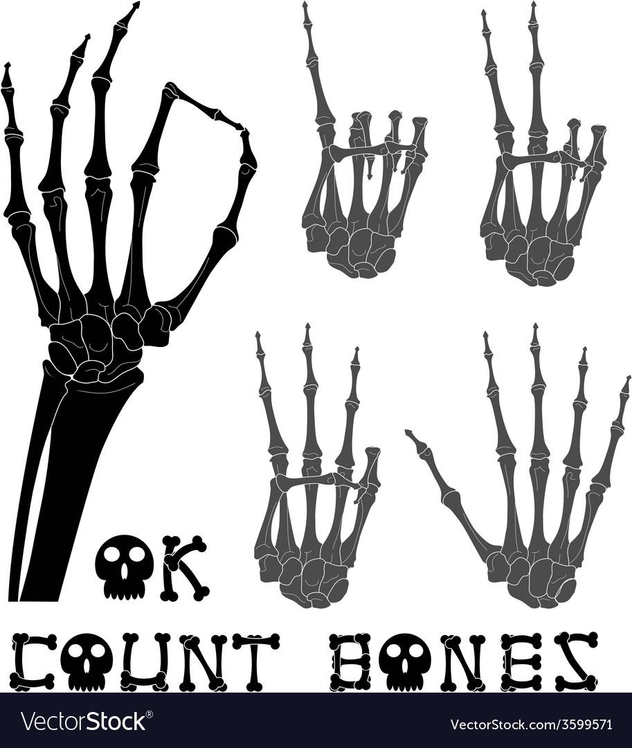 Count bones Royalty Free Vector Image - VectorStock