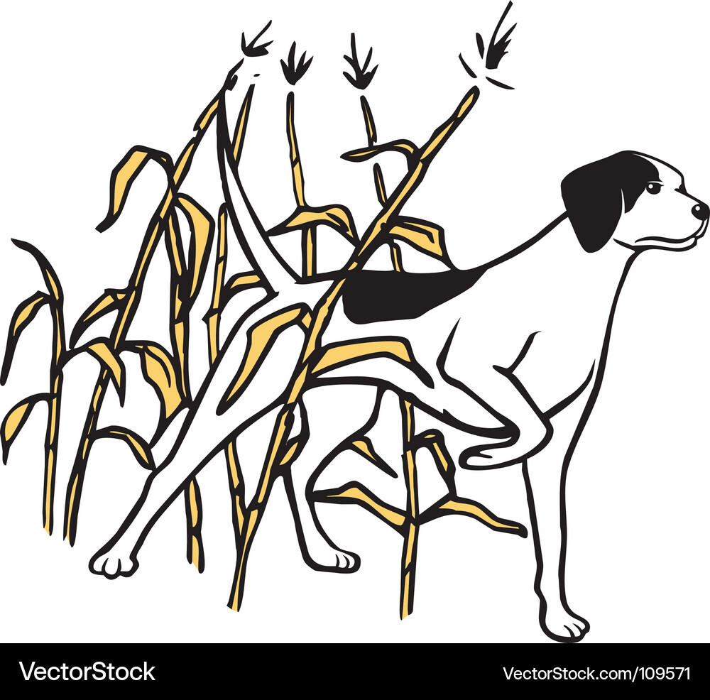 Hunting Dog in Maze Field Royalty Free Vector Image