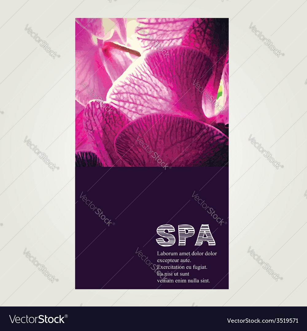 Spa poster Royalty Free Vector Image - VectorStock