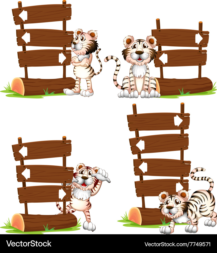 White tiger with wooden signs Royalty Free Vector Image