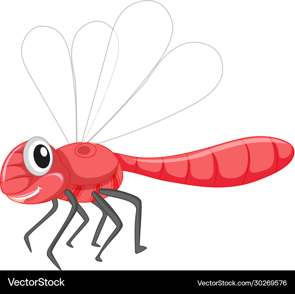 Cute dragonfly in red color on white background Vector Image