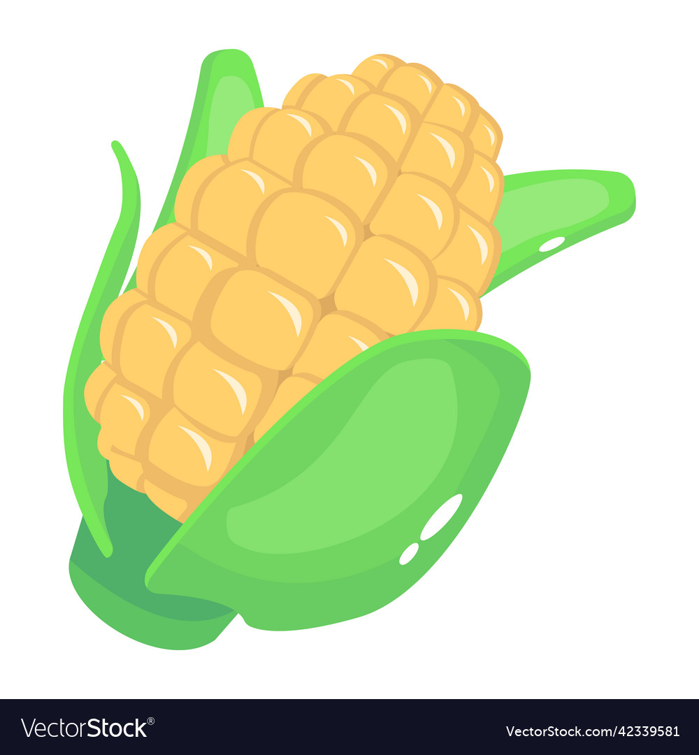 Corn Royalty Free Vector Image - VectorStock