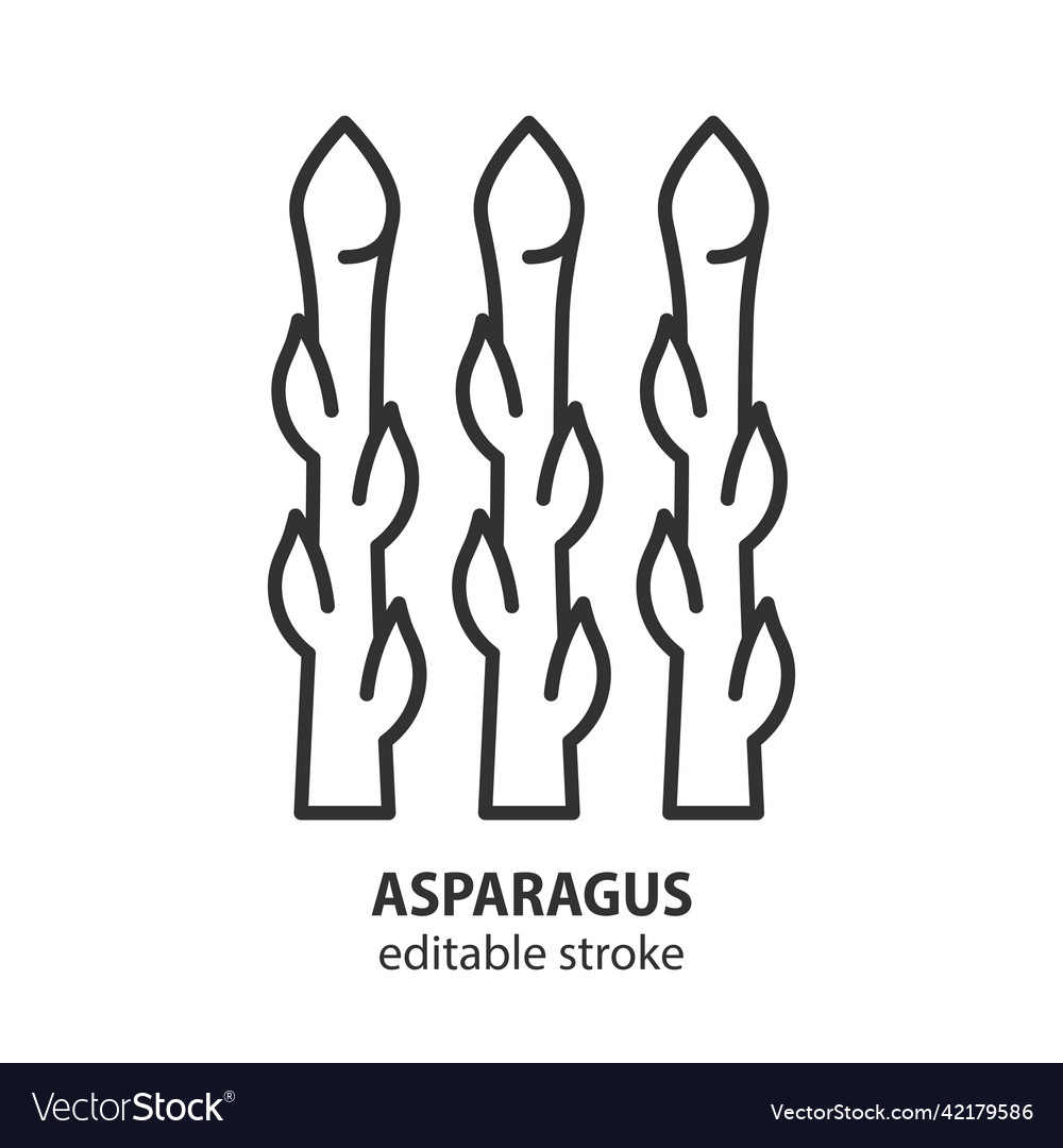 Asparagus line icon natural bio vegetable sign Vector Image
