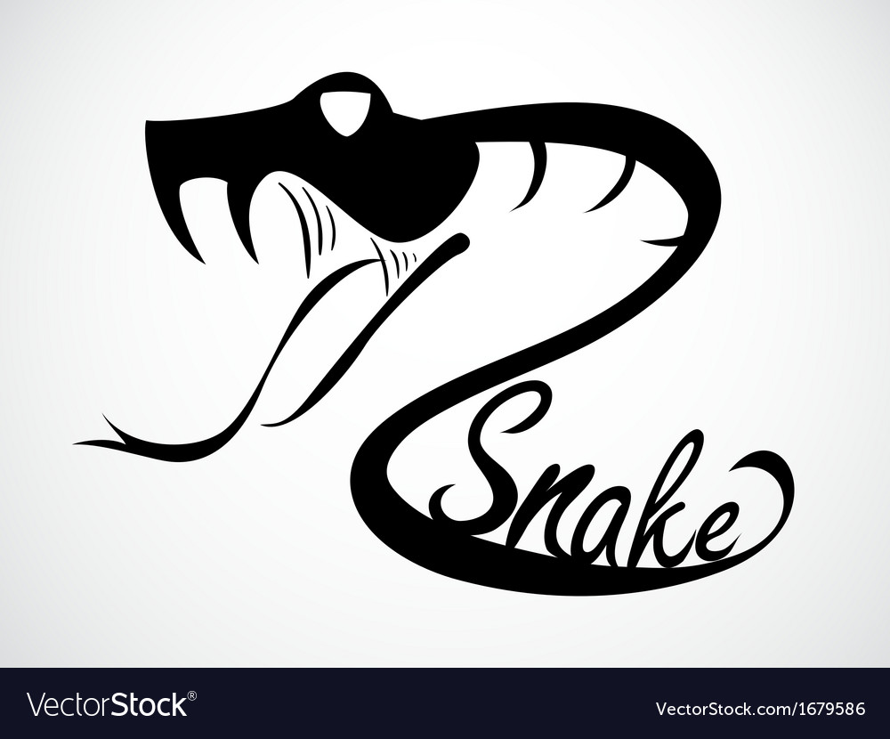 Snake c Royalty Free Vector Image - VectorStock