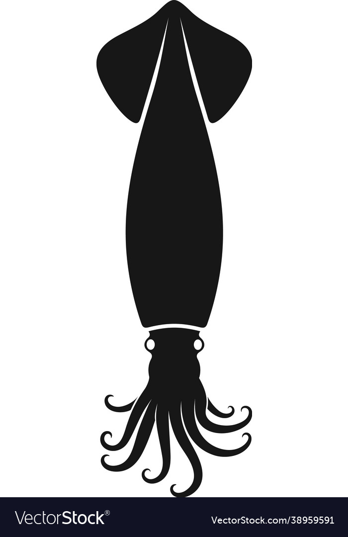 Squid Royalty Free Vector Image - VectorStock