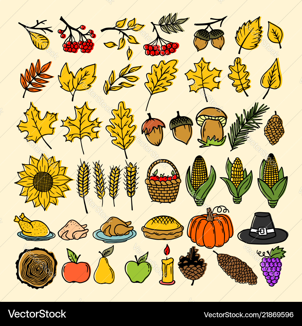 A set of autumn elements nature handmade Vector Image