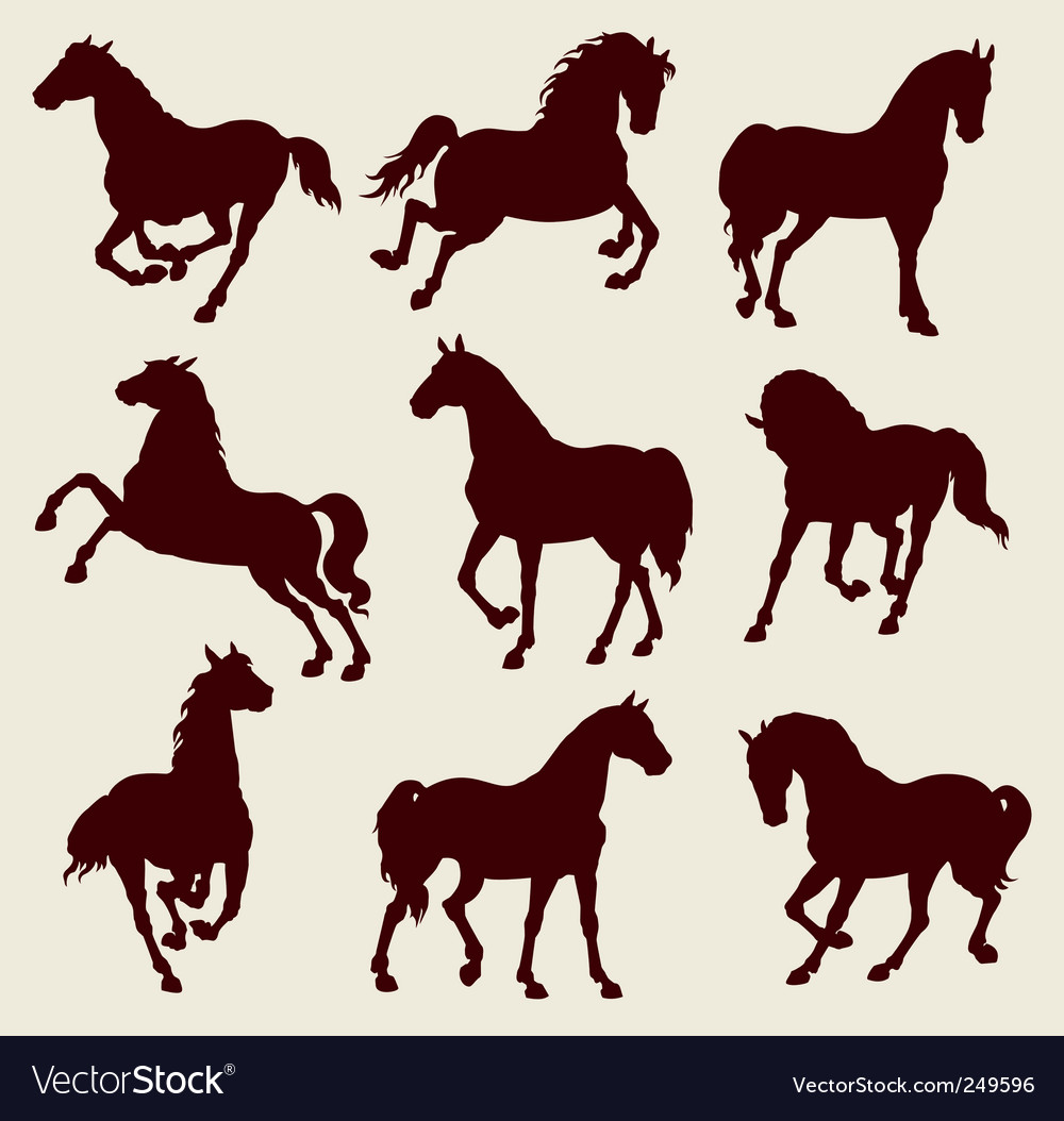 Horse Royalty Free Vector Image - VectorStock