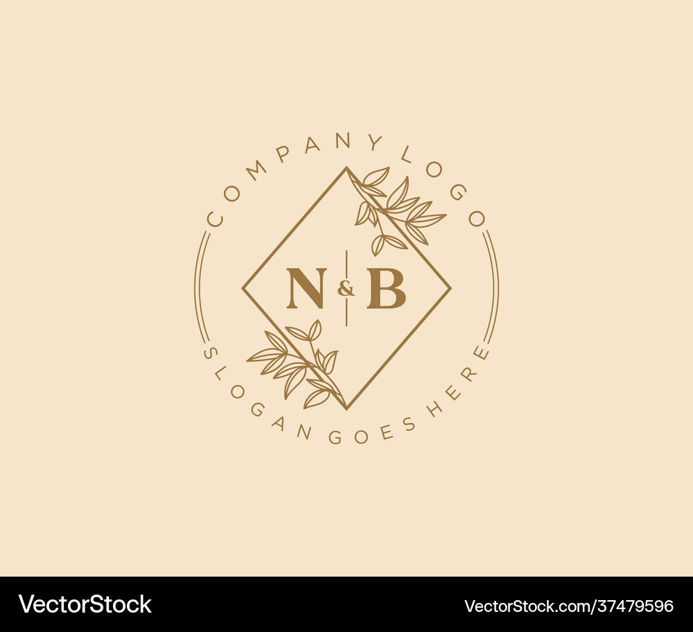 Initial nb letters beautiful floral feminine Vector Image