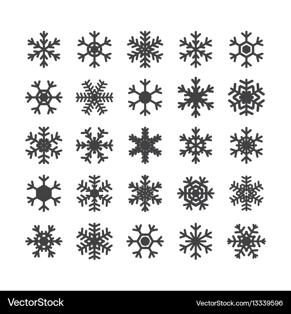Set of different snowflakes isolated on white Vector Image