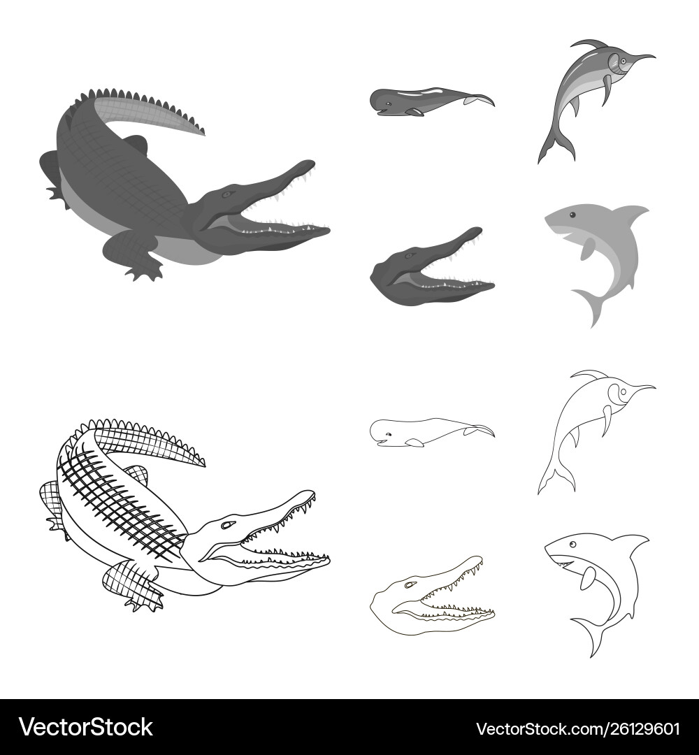 Design sea and ocean sign collection Royalty Free Vector
