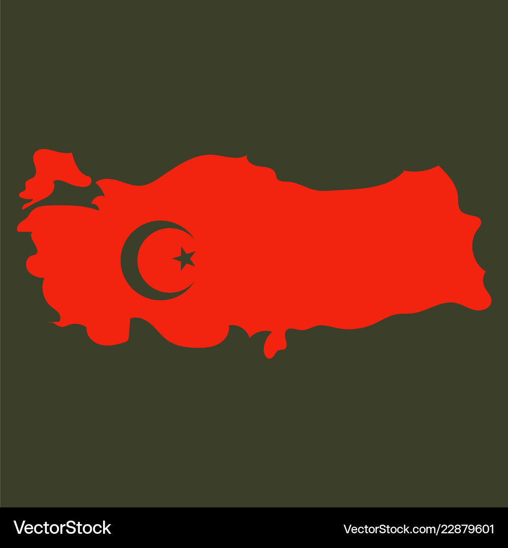 Map of turkey filled with flag the state Vector Image