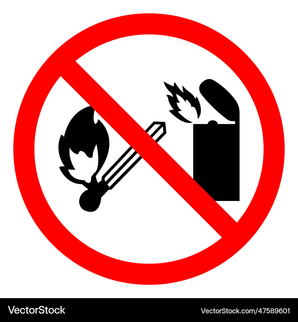 No lighter symbol sign on white background Vector Image