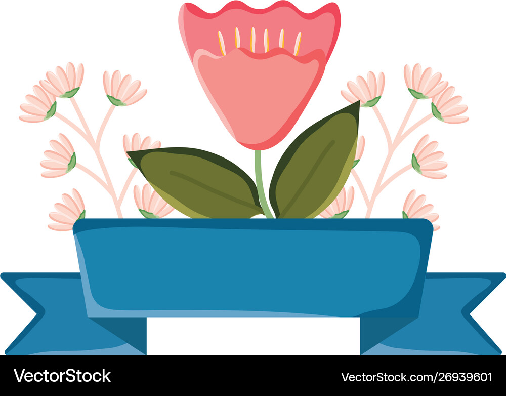 Rose flower garden with ribbon frame Royalty Free Vector