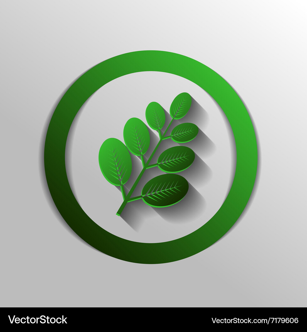 Branch with leaves symbol icon geometry teaching Vector Image