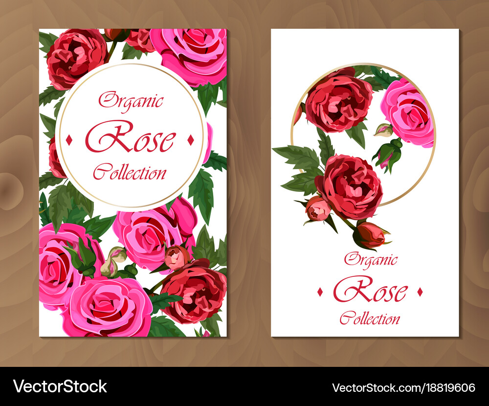 Rose card on wooden background Royalty Free Vector Image
