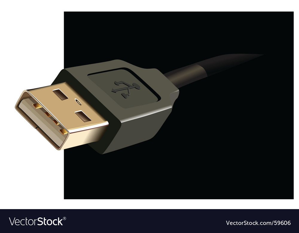 Usb Royalty Free Vector Image - VectorStock