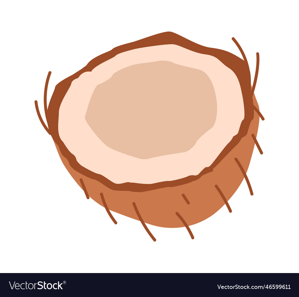 Coconut shell fruit Royalty Free Vector Image - VectorStock