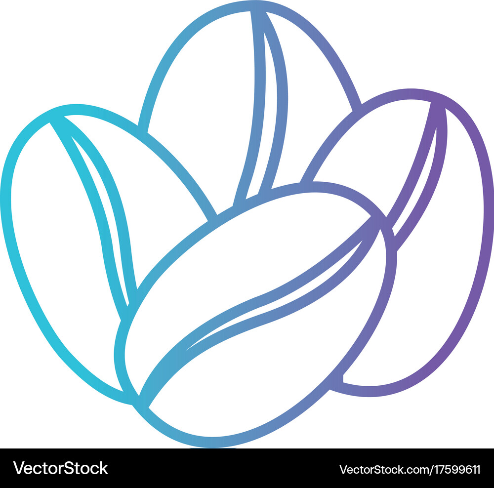 Coffee beans set four grains gradient color Vector Image
