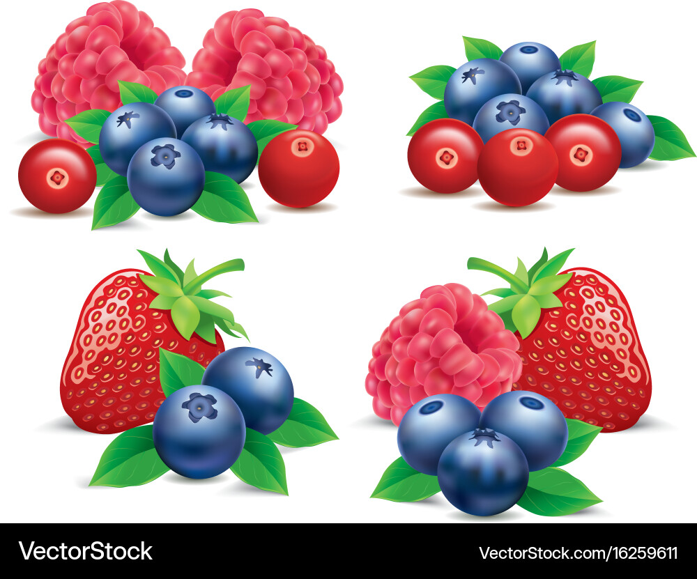 Forest fruits raspberry strawberry blueberry Vector Image