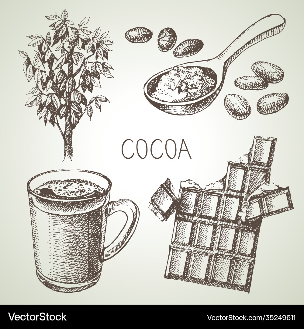 Hand drawn sketch cocoa chocolate product set Vector Image