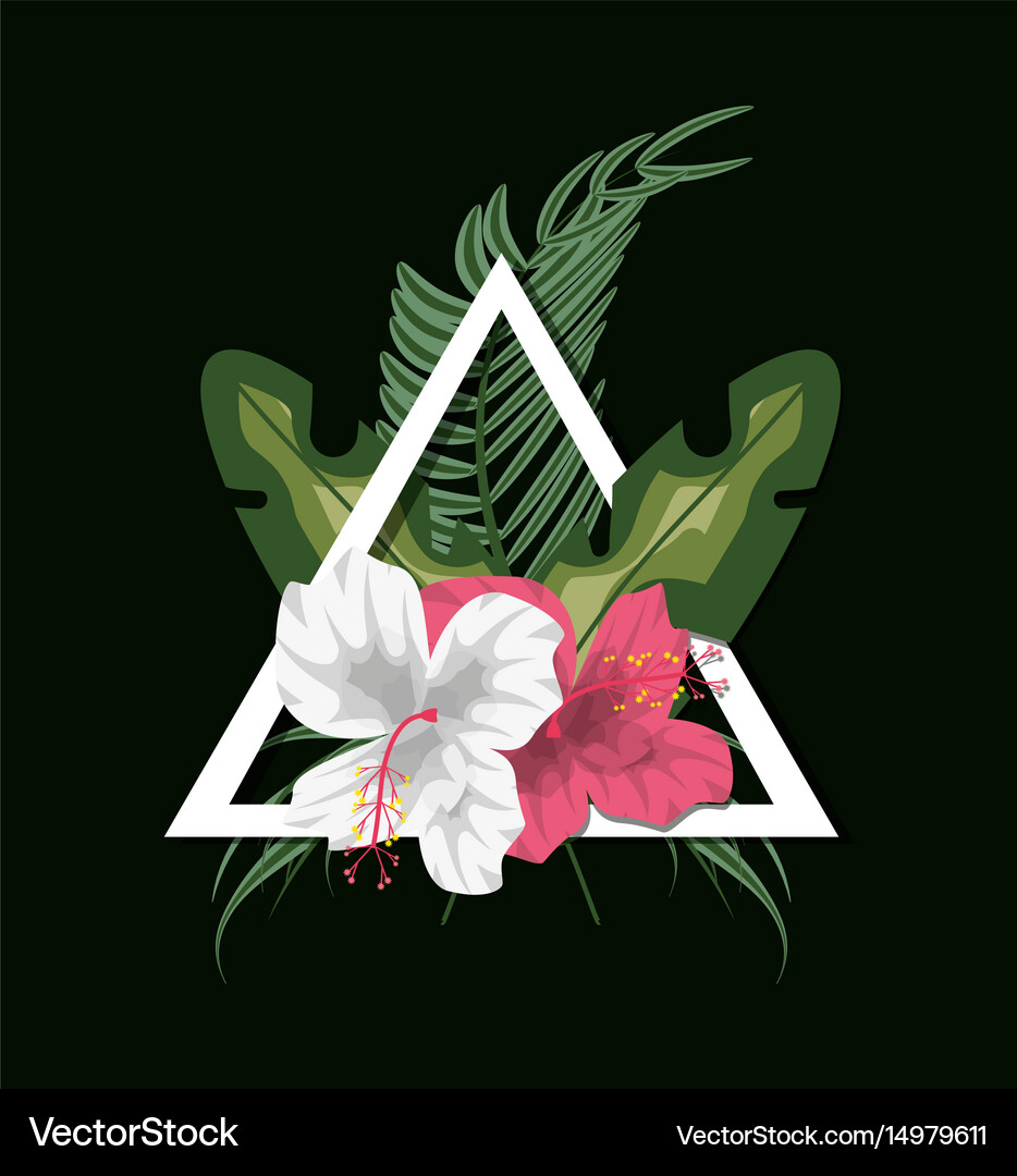 Tropical concept with beautiful and colorful Vector Image