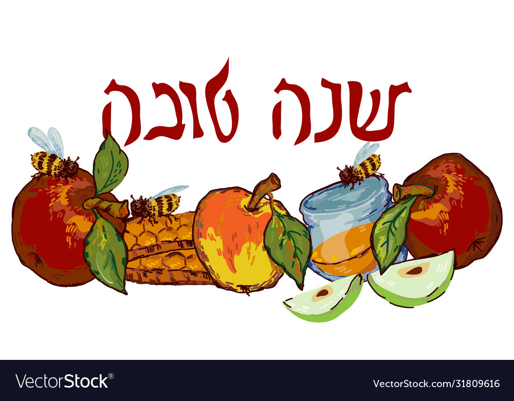 Jewish new year - rosh hashanah banner with shana Vector Image