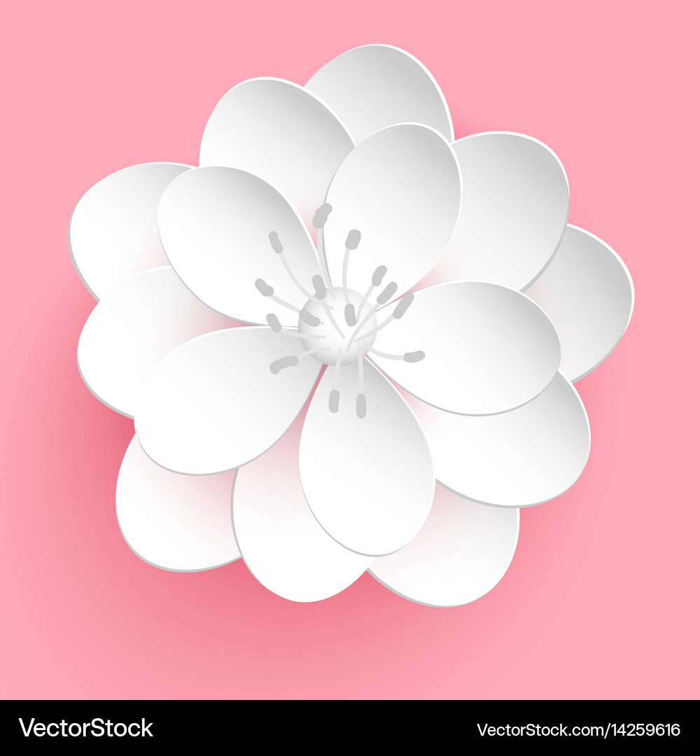 Paper cut sakura flower floral Royalty Free Vector Image