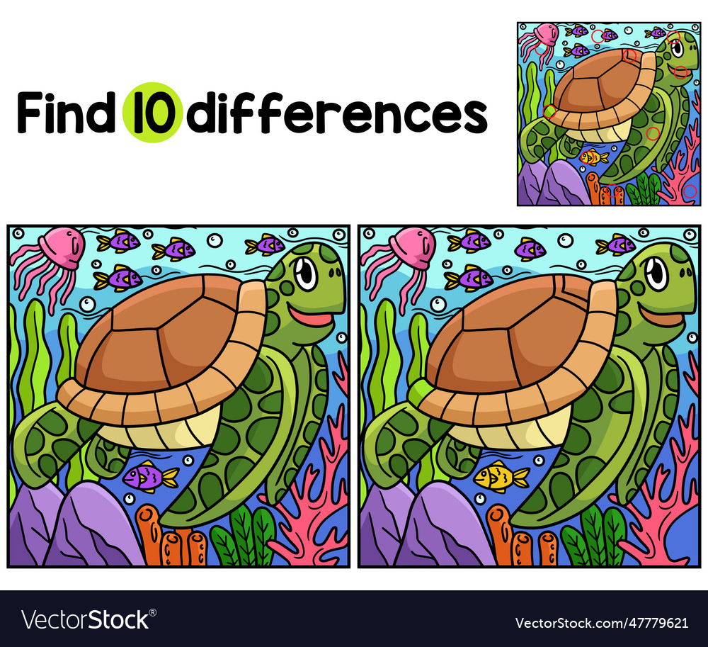 Turtle animal find the differences Royalty Free Vector Image