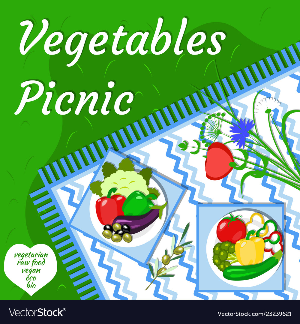 Vegetables summer picnic party in the open air Vector Image