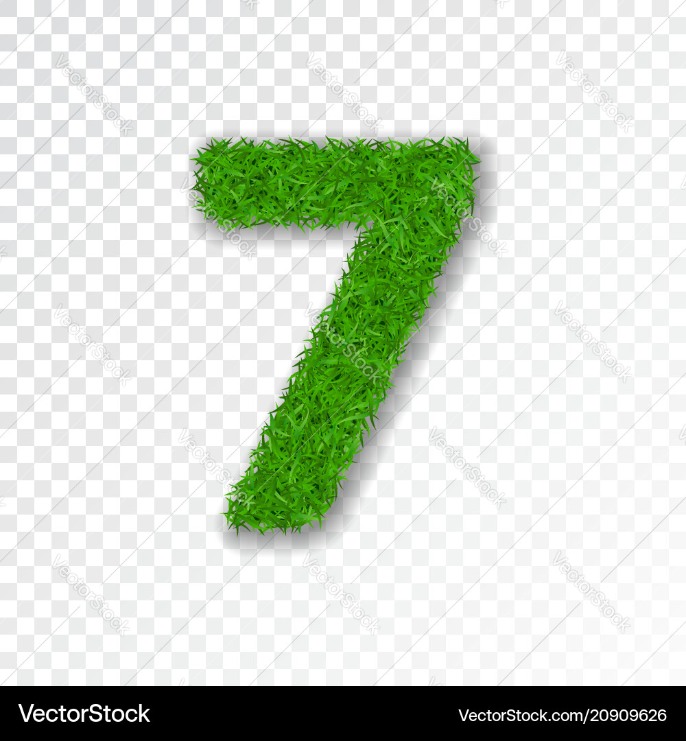 Grass number seven green number 7 isolated on Vector Image