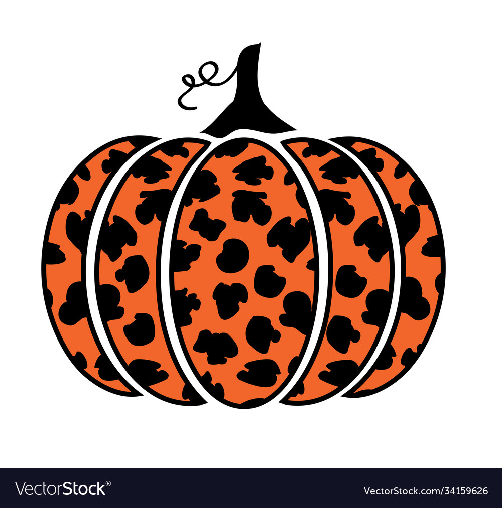 Leopard pumpkin Royalty Free Vector Image - VectorStock