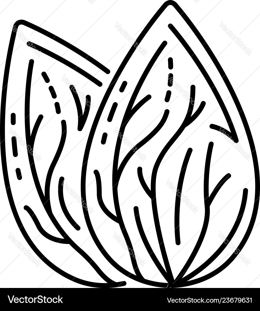 Fresh almond nut icon outline style Royalty Free Vector