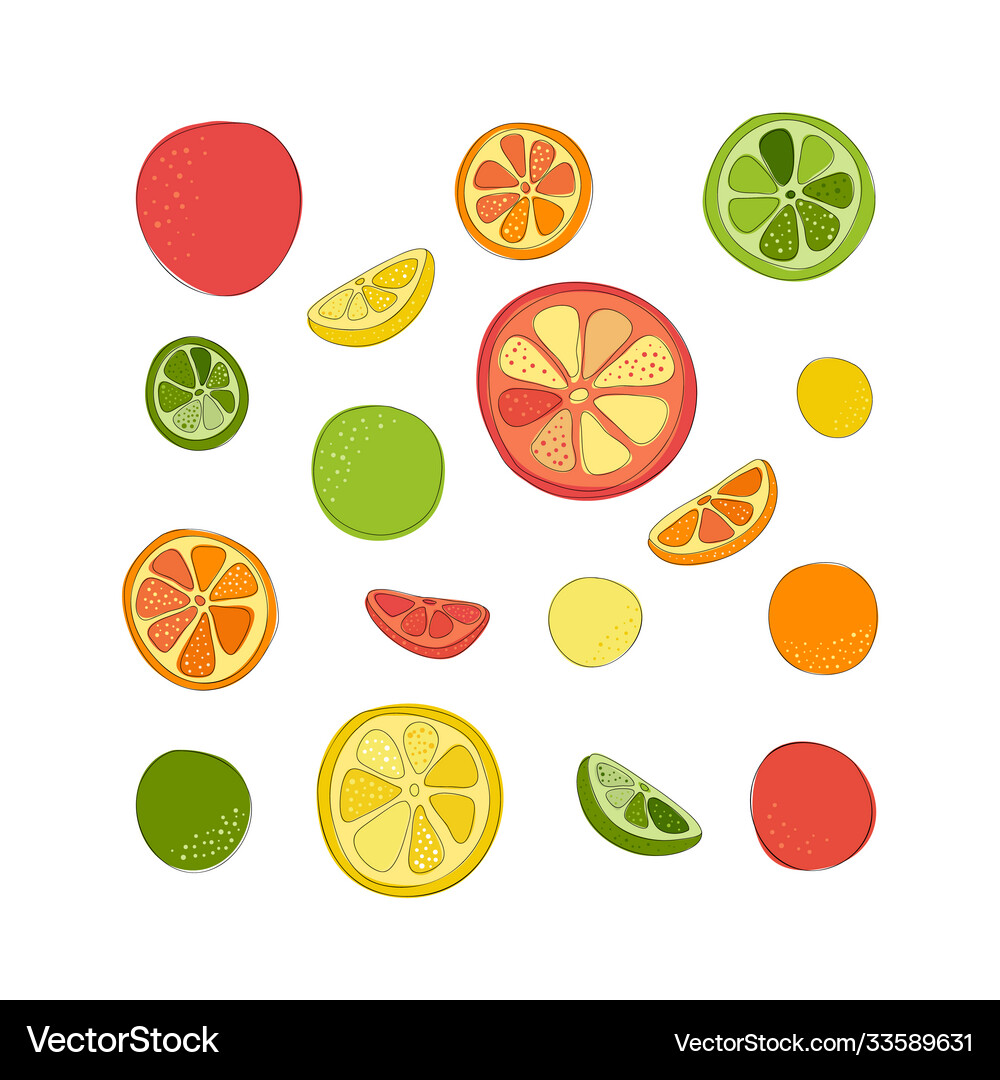 Set hand drawn citrus fruits lemon Royalty Free Vector Image