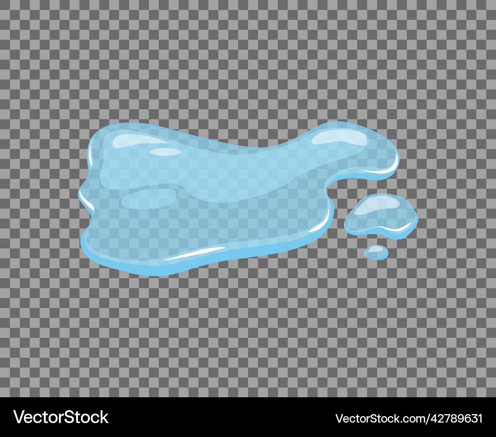 Water spill puddle on a isolated transparent Vector Image