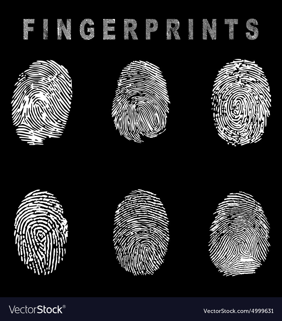 White Fingerprints Royalty Free Vector Image - VectorStock White Fingerprints Royalty Free Vector Image - VectorStock