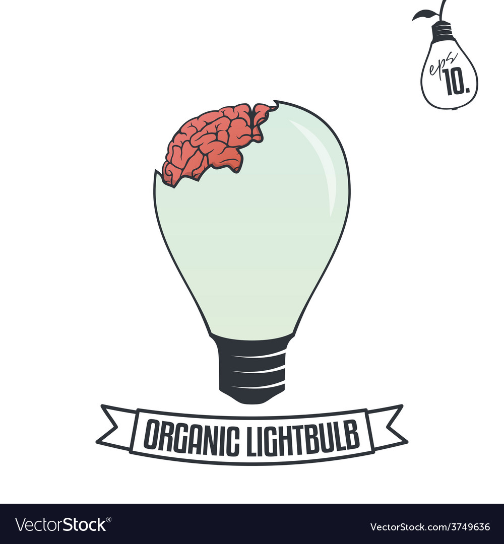 Lightbulb with brain Royalty Free Vector Image