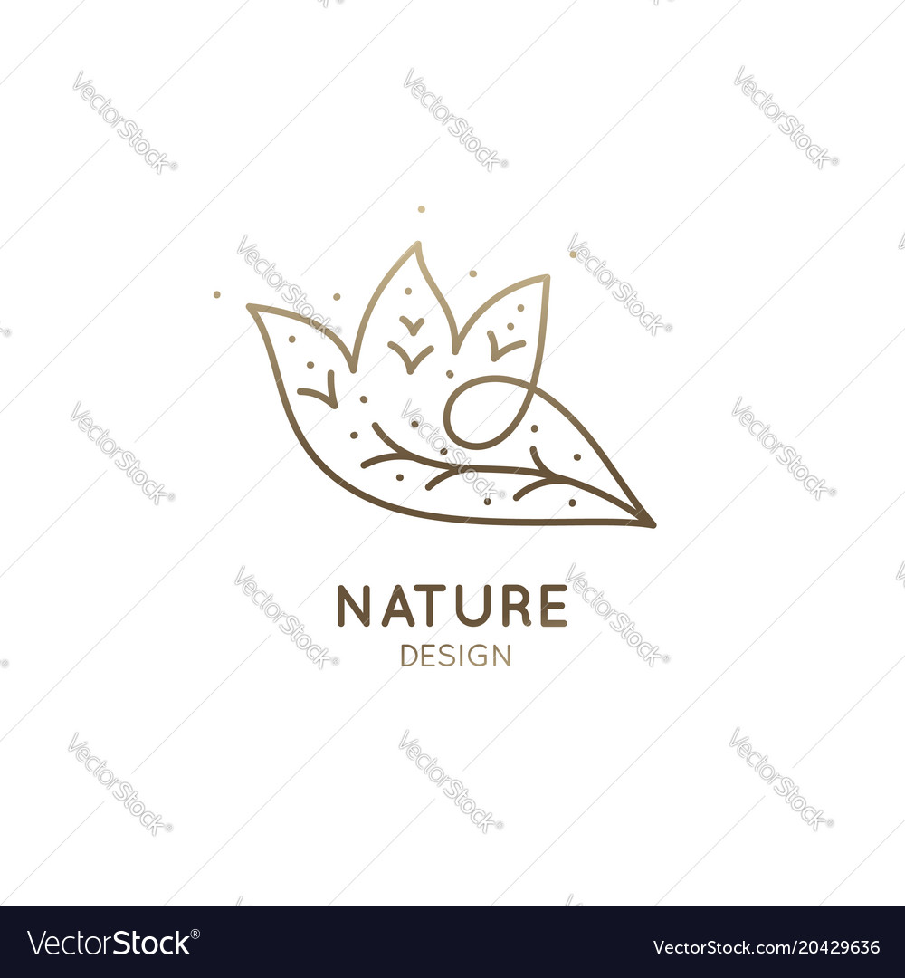 Minimal leaf Royalty Free Vector Image - VectorStock