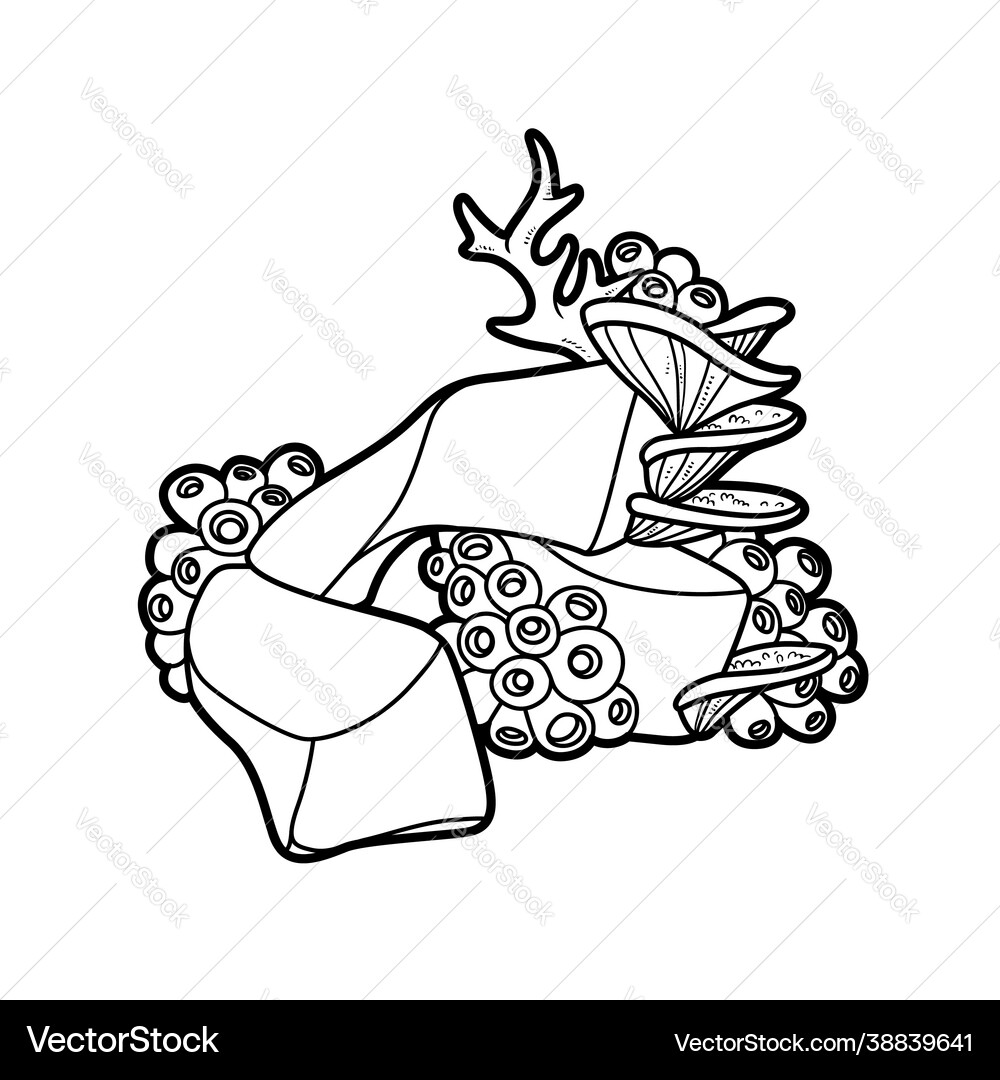 Corals grow on rocks coloring book linear drawing Vector Image