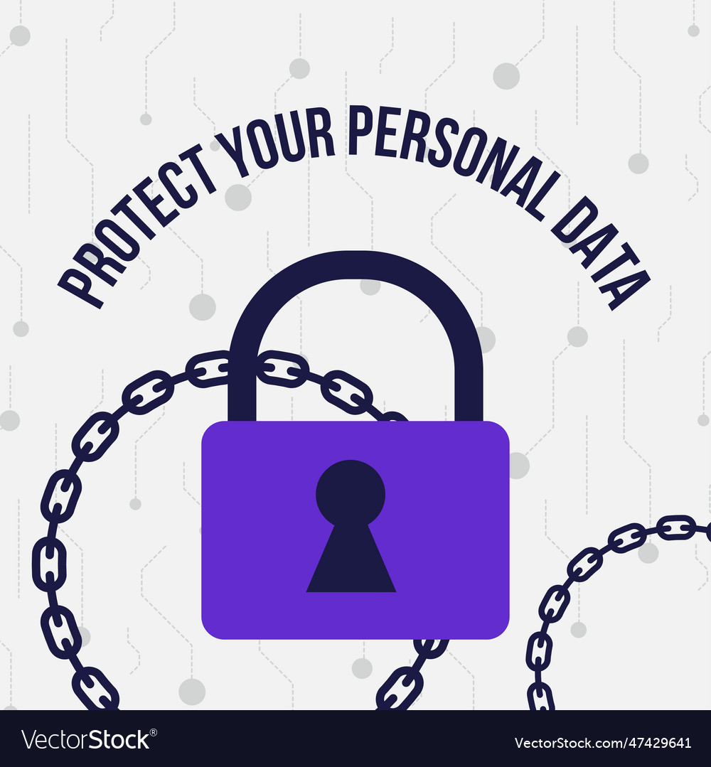 Protect Your Personal Data Lock Password Vector Image