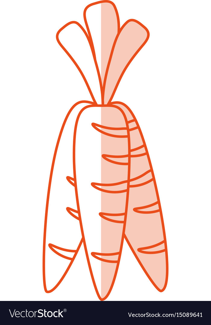 Vegetables shadow Royalty Free Vector Image - VectorStock