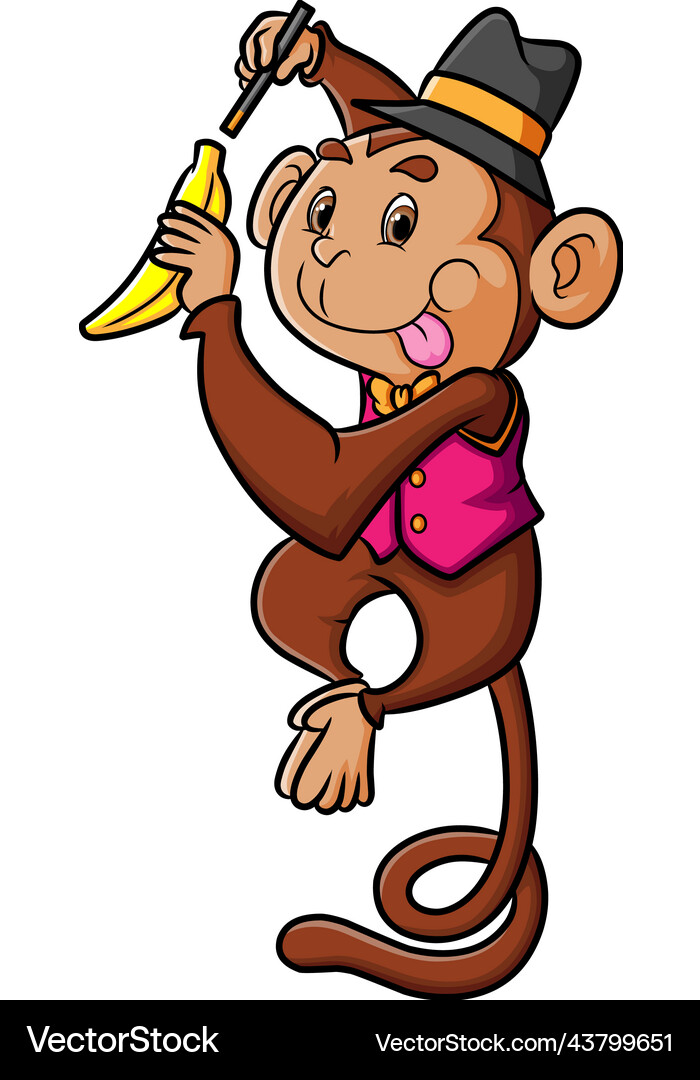 Magician monkey is changing the banana with magic Vector Image