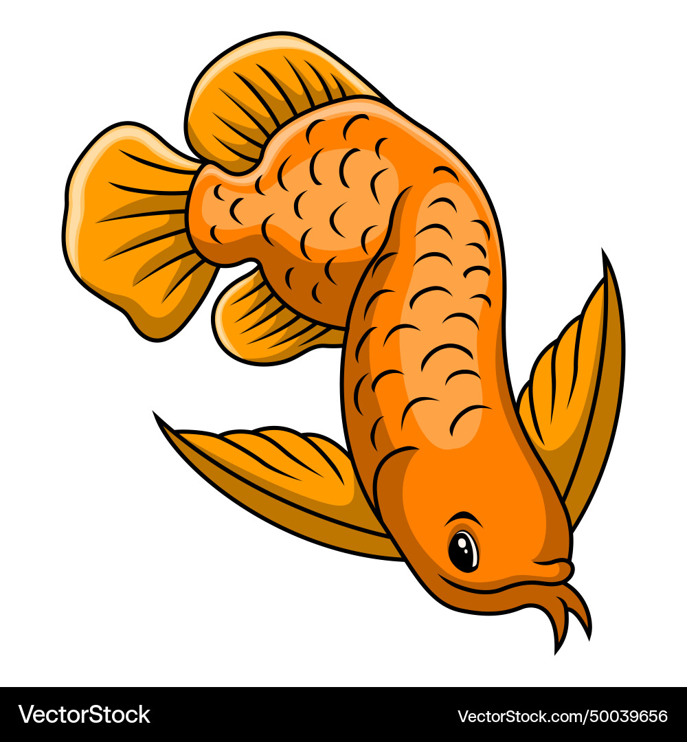 Funny cute arowana fish cartoon Royalty Free Vector Image