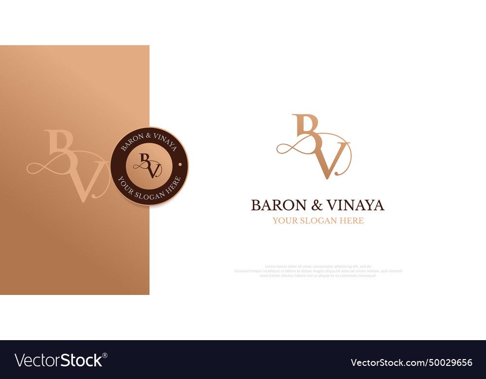 Initial bv logo design Royalty Free Vector Image