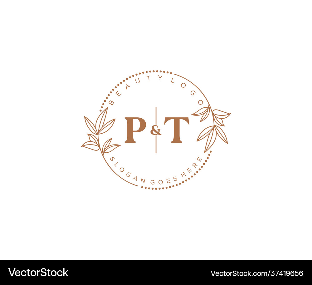 Initial pt letters beautiful floral feminine Vector Image