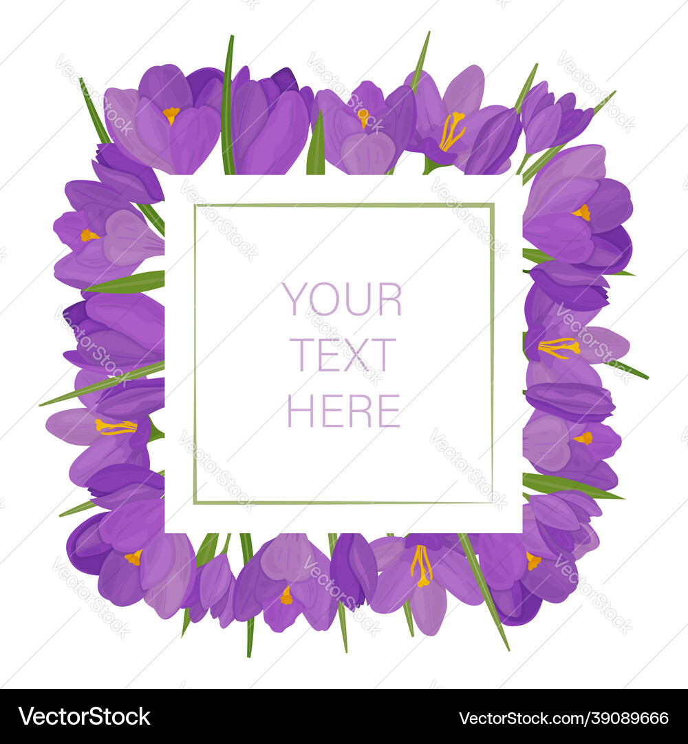 A square frame made of crocus flowers Royalty Free Vector