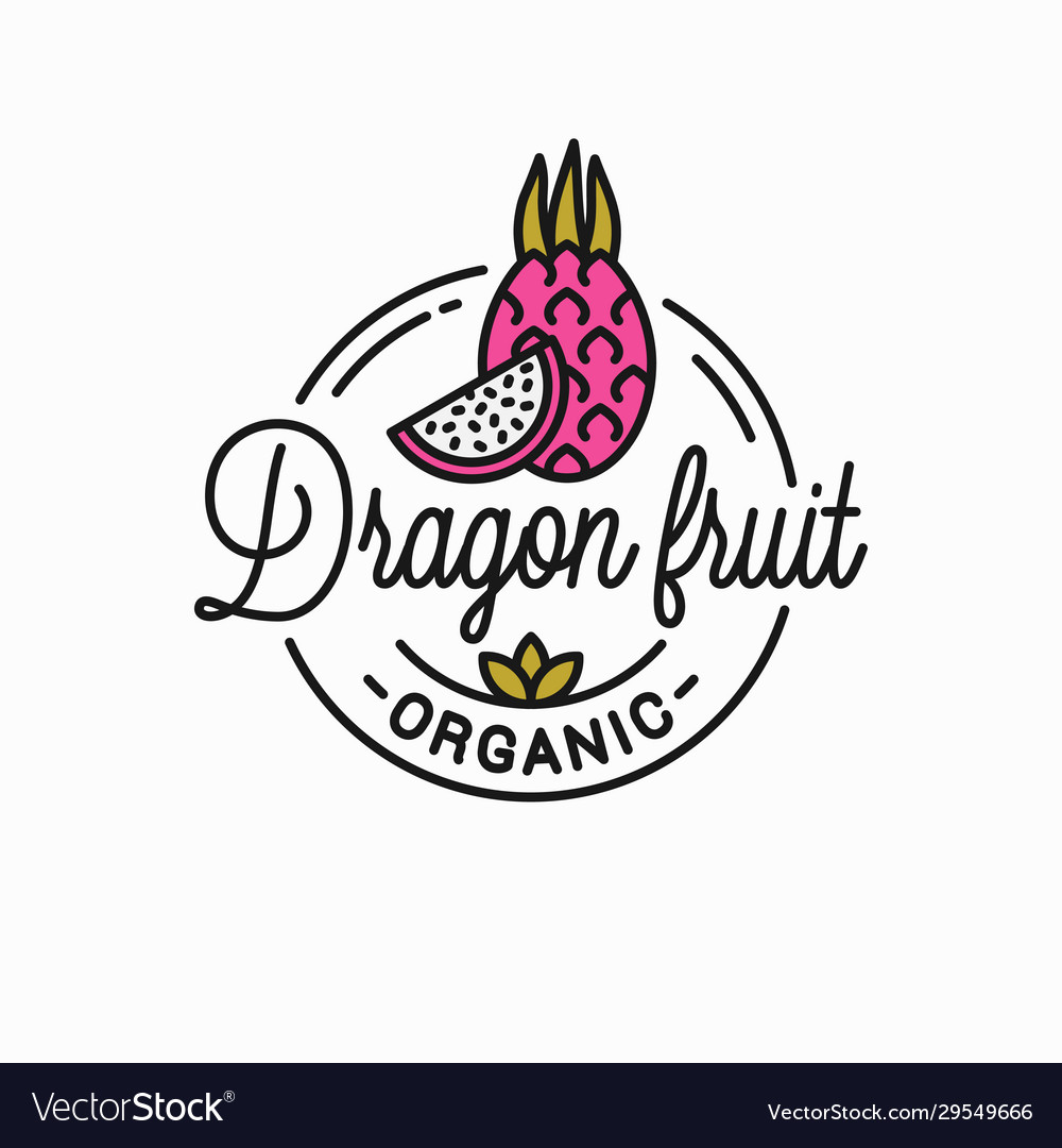Dragon fruit logo round linear slice Royalty Free Vector