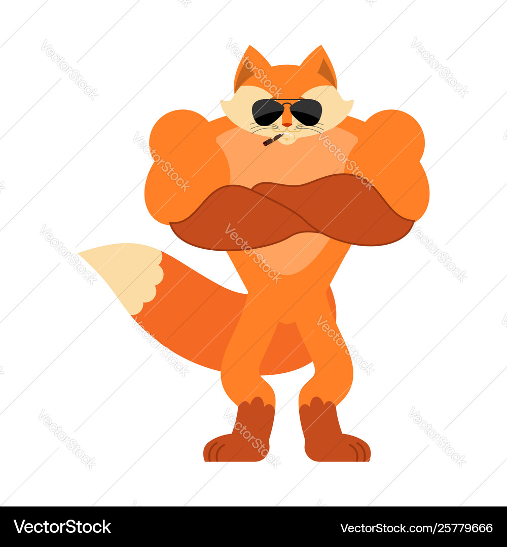 Fox strong cool serious animal smoking cigar Vector Image