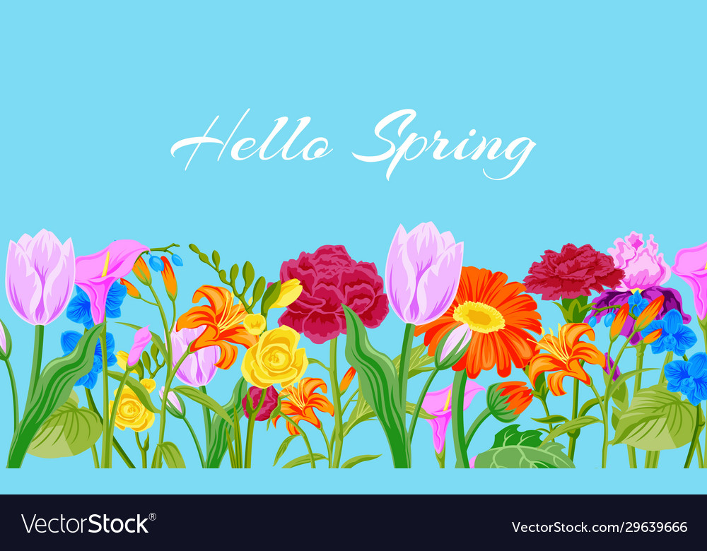 Hello spring floral pink background with flowers Vector Image