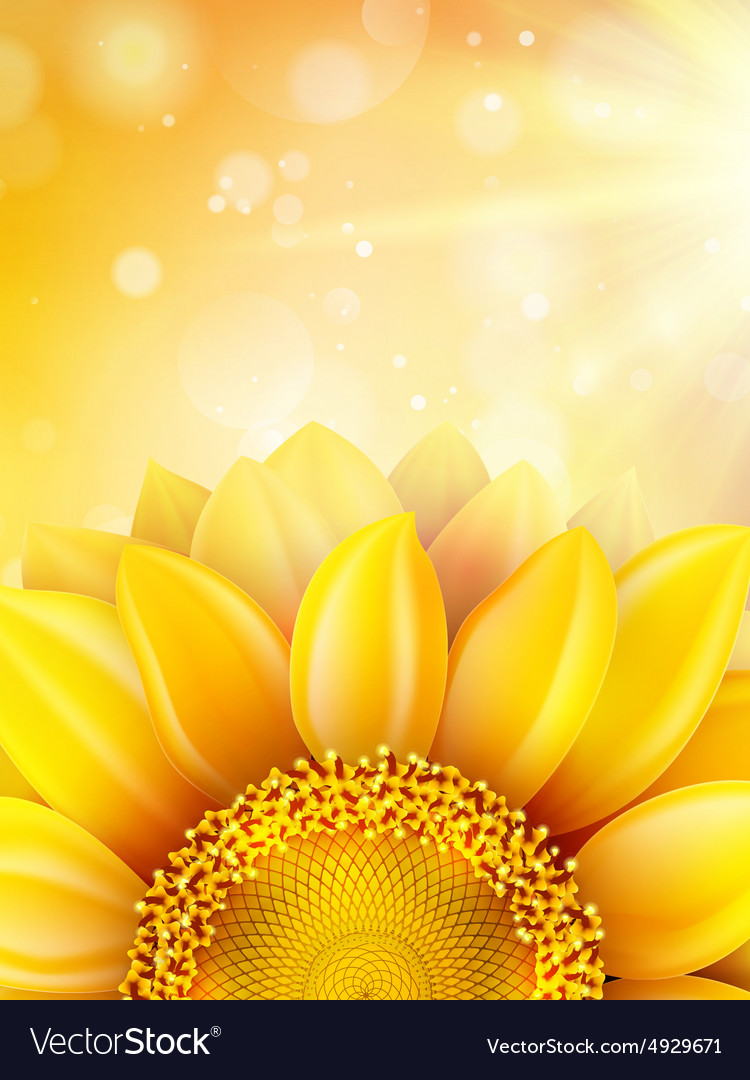 Macro sunflower background eps 10 Royalty Free Vector Image Macro sunflower background eps 10 Royalty Free Vector Image