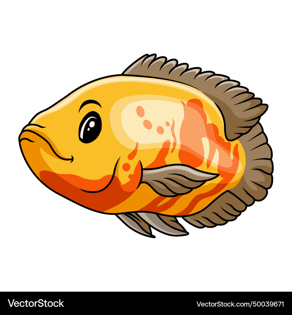 Oscar fish cartoon a swimming Royalty Free Vector Image